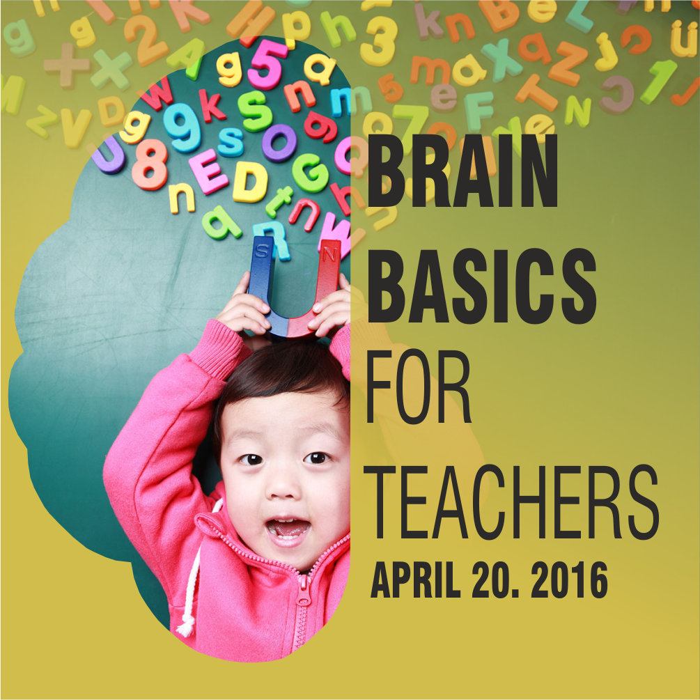 Brain Basics for Teachers by Brains and Learning