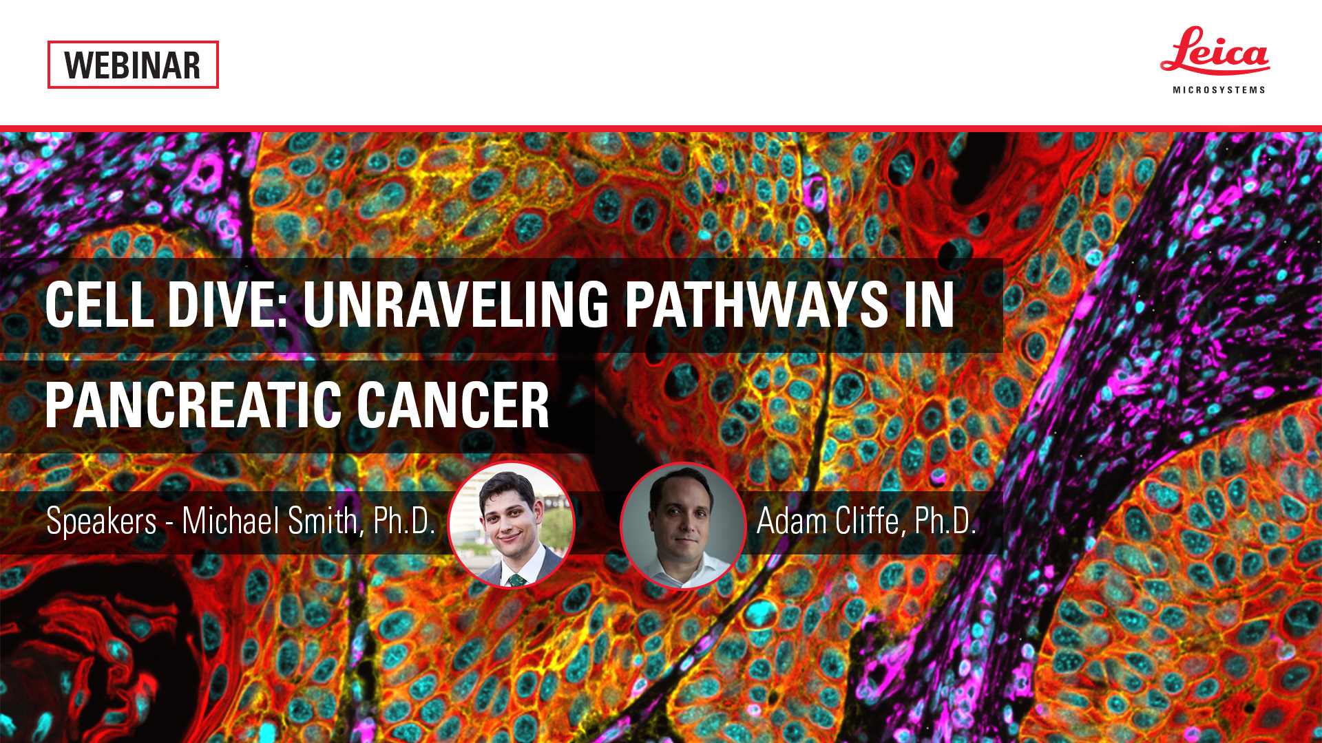 Webinar: Cell DIVE: Unraveling Pathways in Pancreatic Cancer by Leica