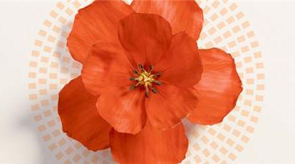 Webinar: Outils d’IA pour les chercheurs – Partie 2 : ScienceDirect AI by Elsevier