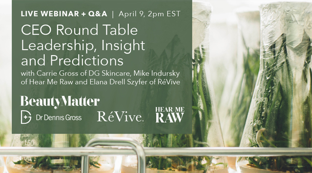 Webinar: Focus: CEO Round Table - Leadership, Insight and Predictions ...