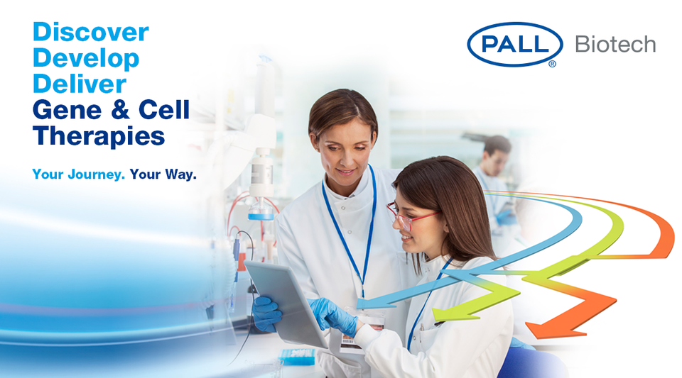 Webinar: Pall Biotech Developing and industrializing your gene therapy ...