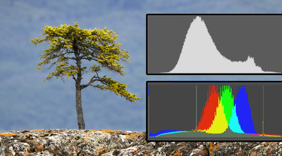 Webinar: $20 - Understanding your Histogram: A Misunderstood ...