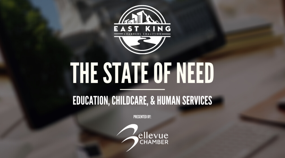 Webinar: The State of Need: Education, Childcare, & Human Services by ...