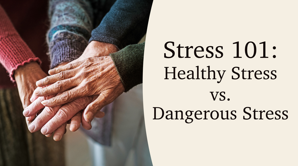 Stress 101: Healthy Stress vs Dangerous Stress by Koelsch Communities