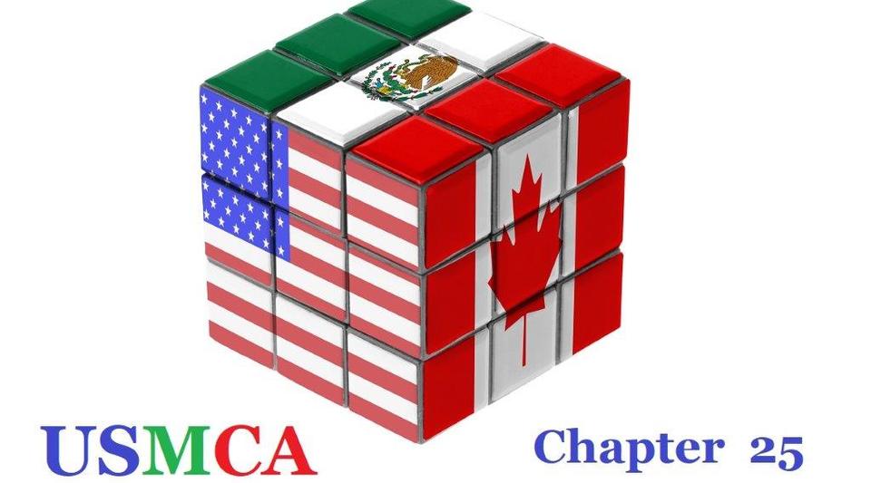 Webinar: USMCA Chapter 25 Working with USMCA Representatives by ...