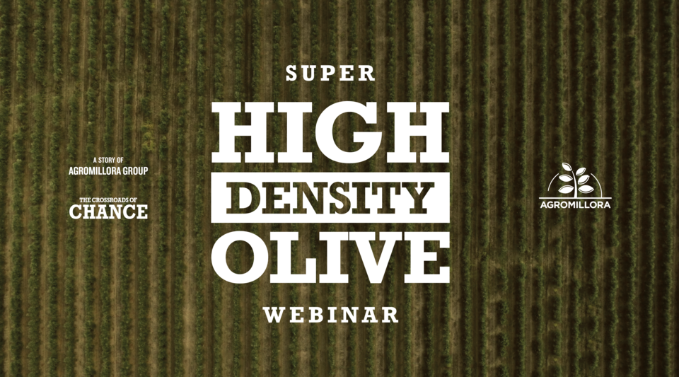 Webinar: Super High Density Olive Webinar | Australian version by ...