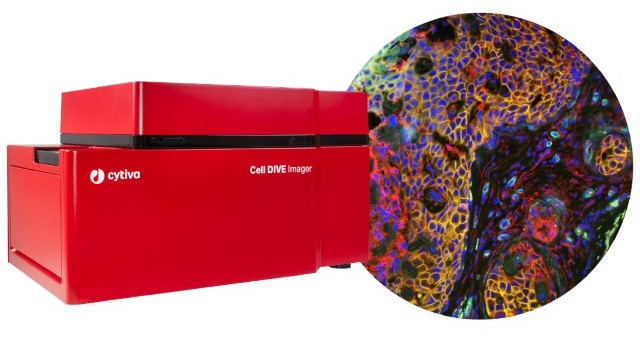 Webinar: Leica Cell DIVE: Look Deeper with Hyperplexed Biomarker Single ...