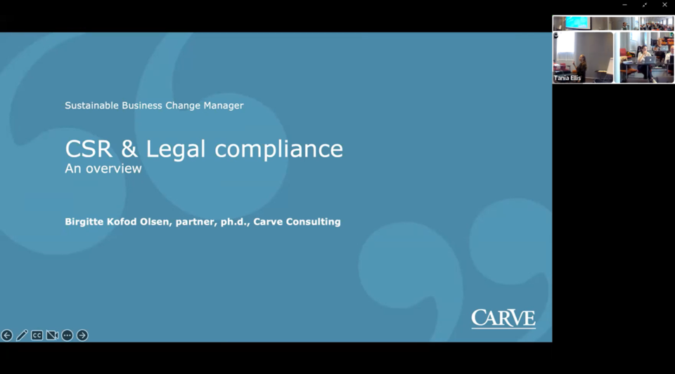 Webinar: Compliance & risk management (CARVE) by Sustainable Business ...
