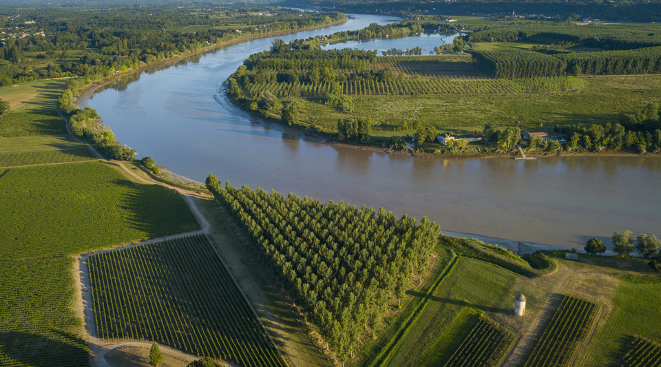 Webinar: Left vs right bank by École du Vin de Bordeaux