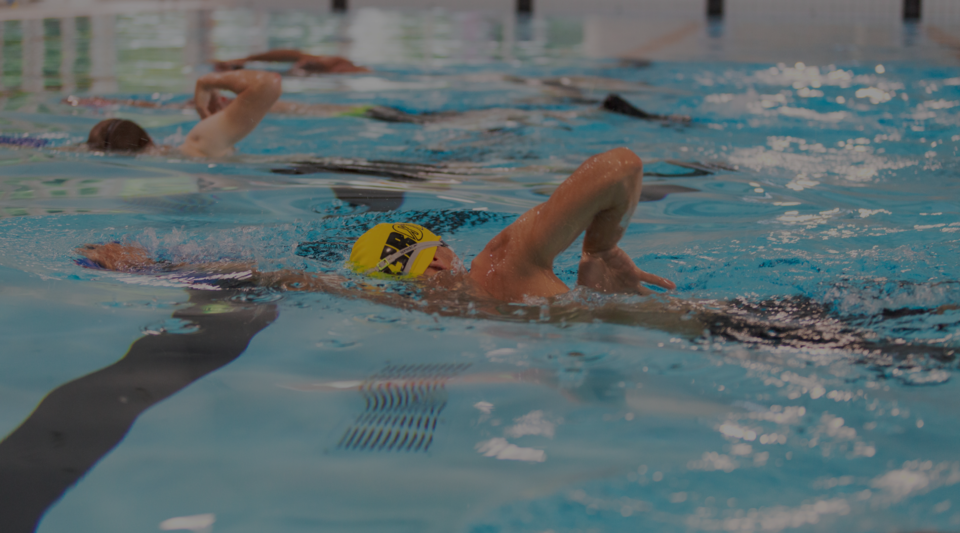 Webinar: Swim performance test, application in training and case study ...