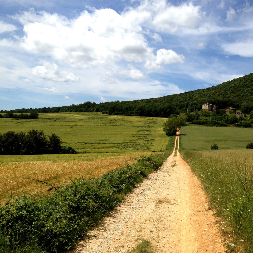 Walking in Tuscany on the Via Francigena by Camino de Santiago