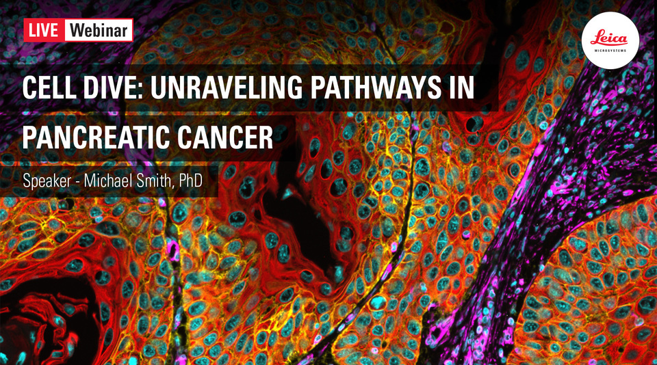 Webinar: Cell DIVE: Unraveling Pathways in Pancreatic Cancer. by Leica ...