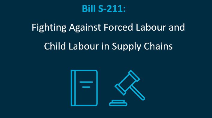 Webinar: Fighting Against Forced Labour: Navigating Government ...