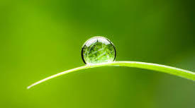 Webinar: THE MIRACLE OF WATER - TrueHy ® by Spiritually Aligned Life ...